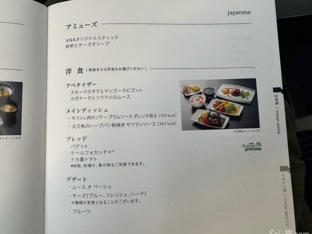 【NH180 成田 ⇒ メキシコシティ直行便】90,000マイルのANAビジネスクラス搭乗記 | seiのソロ旅ダイアリー 〜海外一人旅ブログ〜