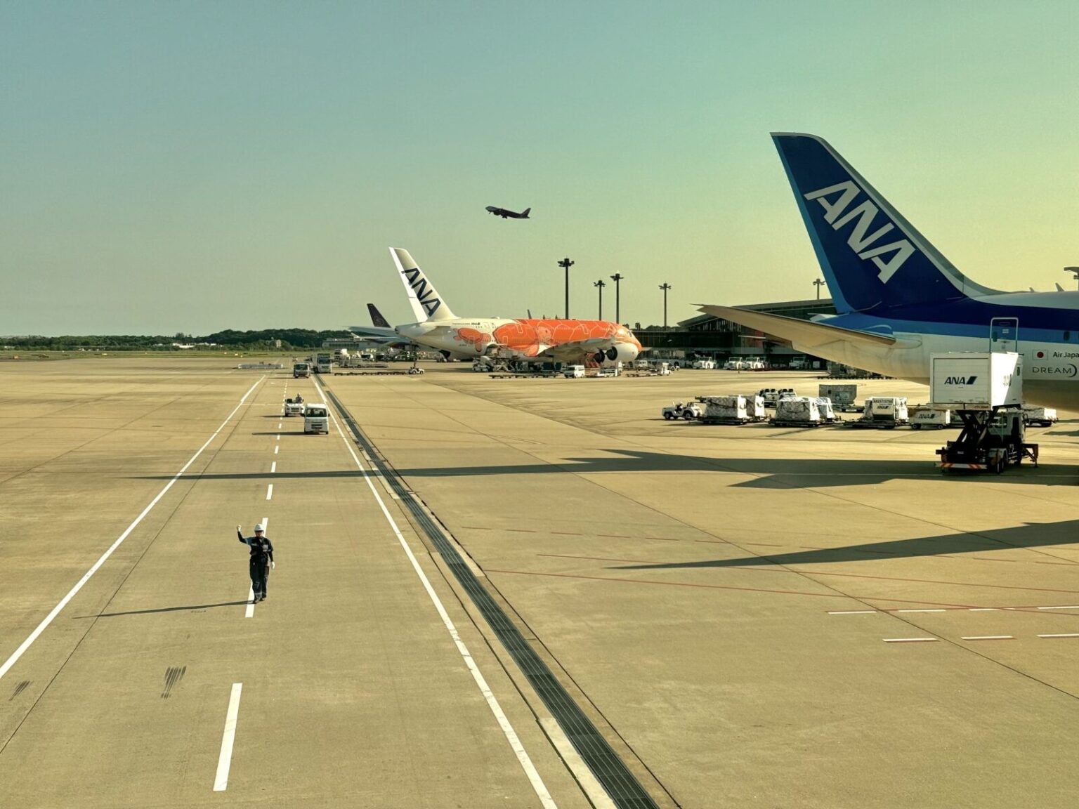 【NH180 成田 ⇒ メキシコシティ直行便】90,000マイルのANAビジネスクラス搭乗記 | seiのソロ旅ダイアリー 〜海外一人旅ブログ〜