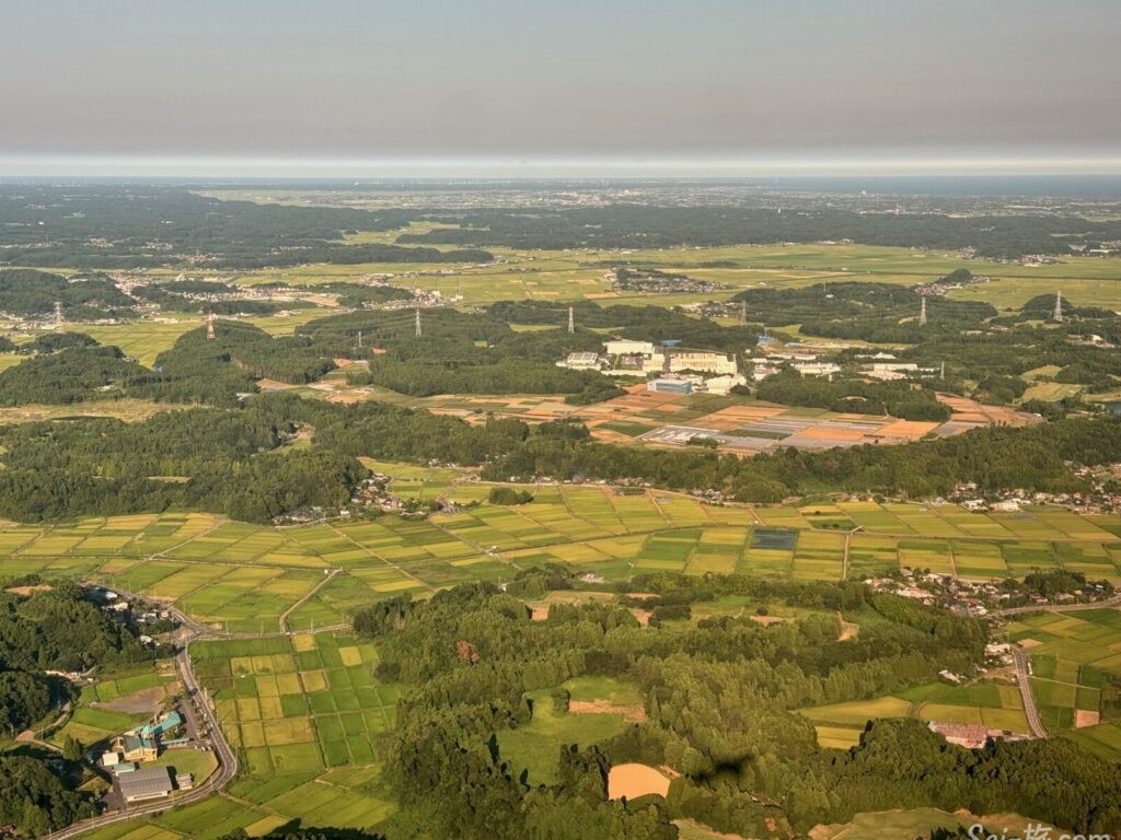 【NH180 成田 ⇒ メキシコシティ直行便】90,000マイルのANAビジネスクラス搭乗記 | seiのソロ旅ダイアリー 〜海外一人旅ブログ〜